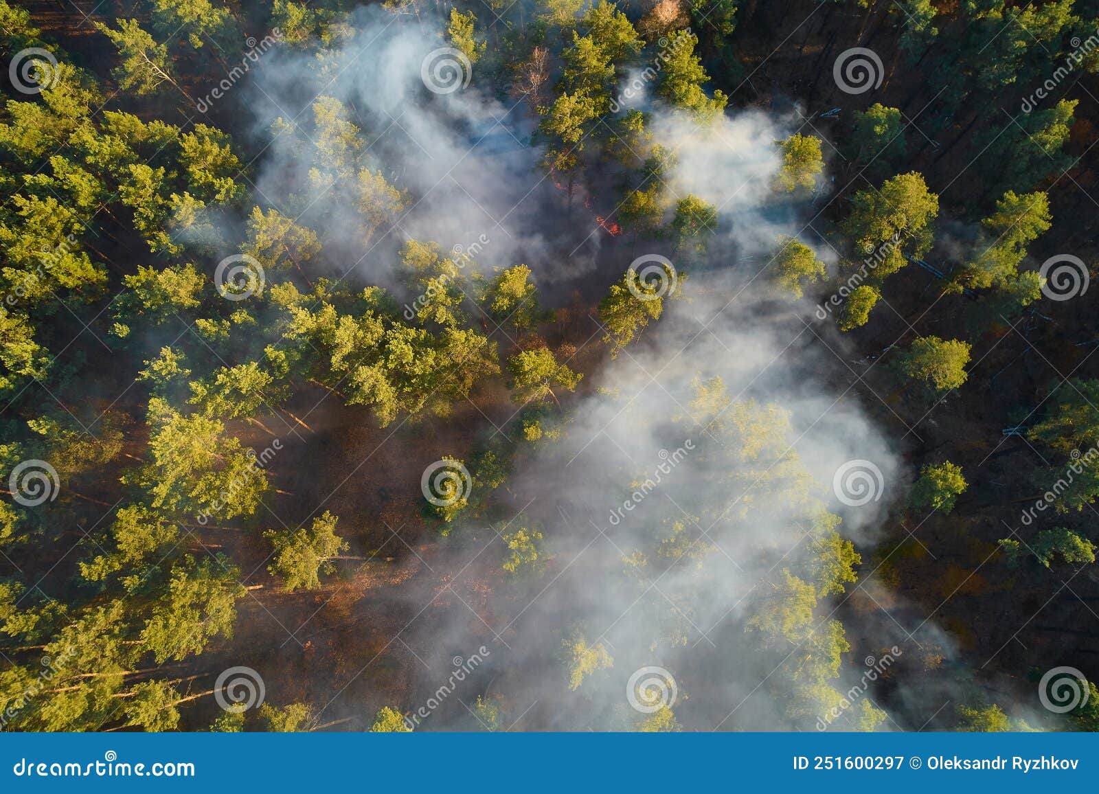Aerial Drone View of a Wildfire in Forested Stock Image - Image of ...