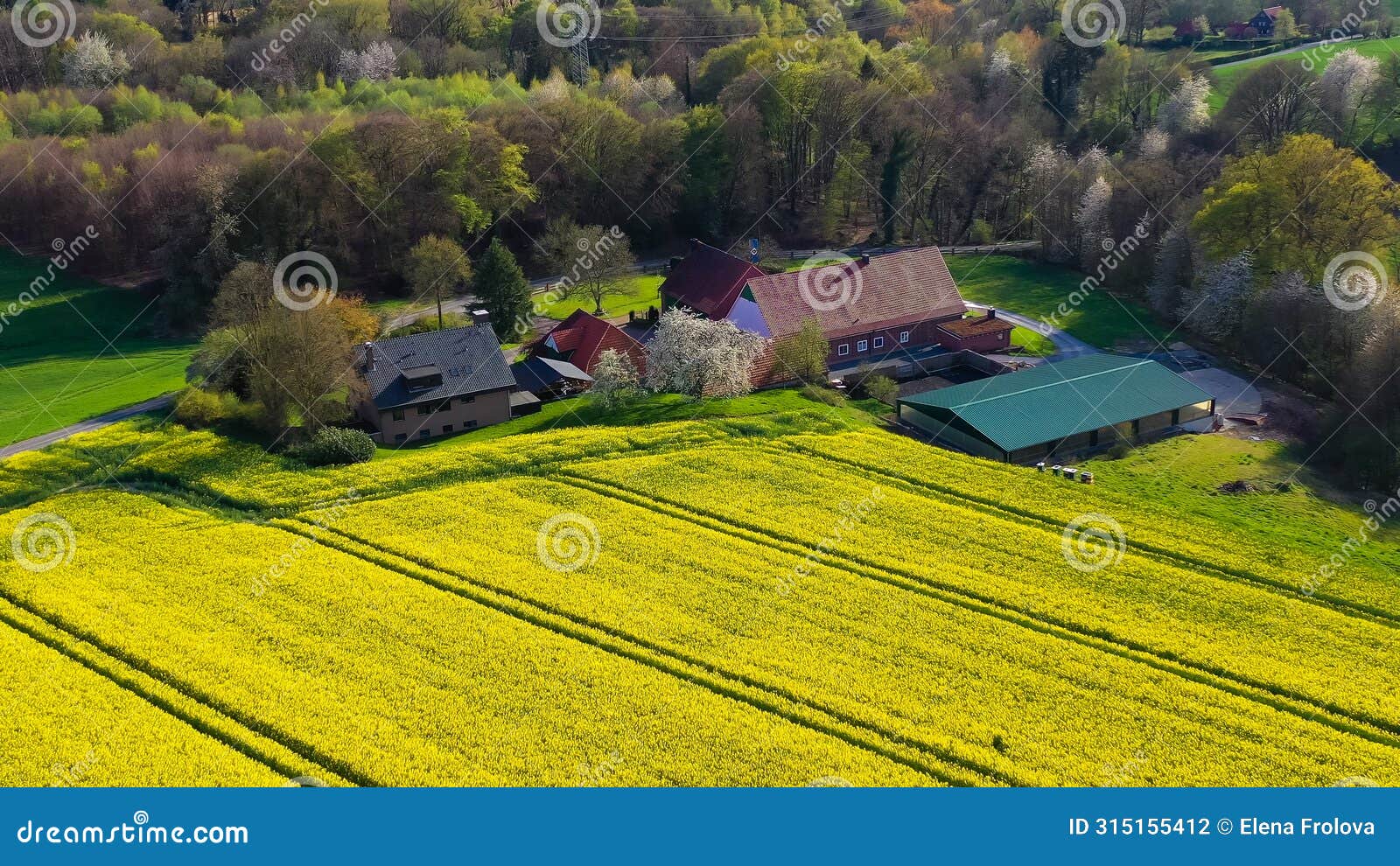 Aerial Drone View of Yellow Rapeseed Fields in German Countryside Stock ...