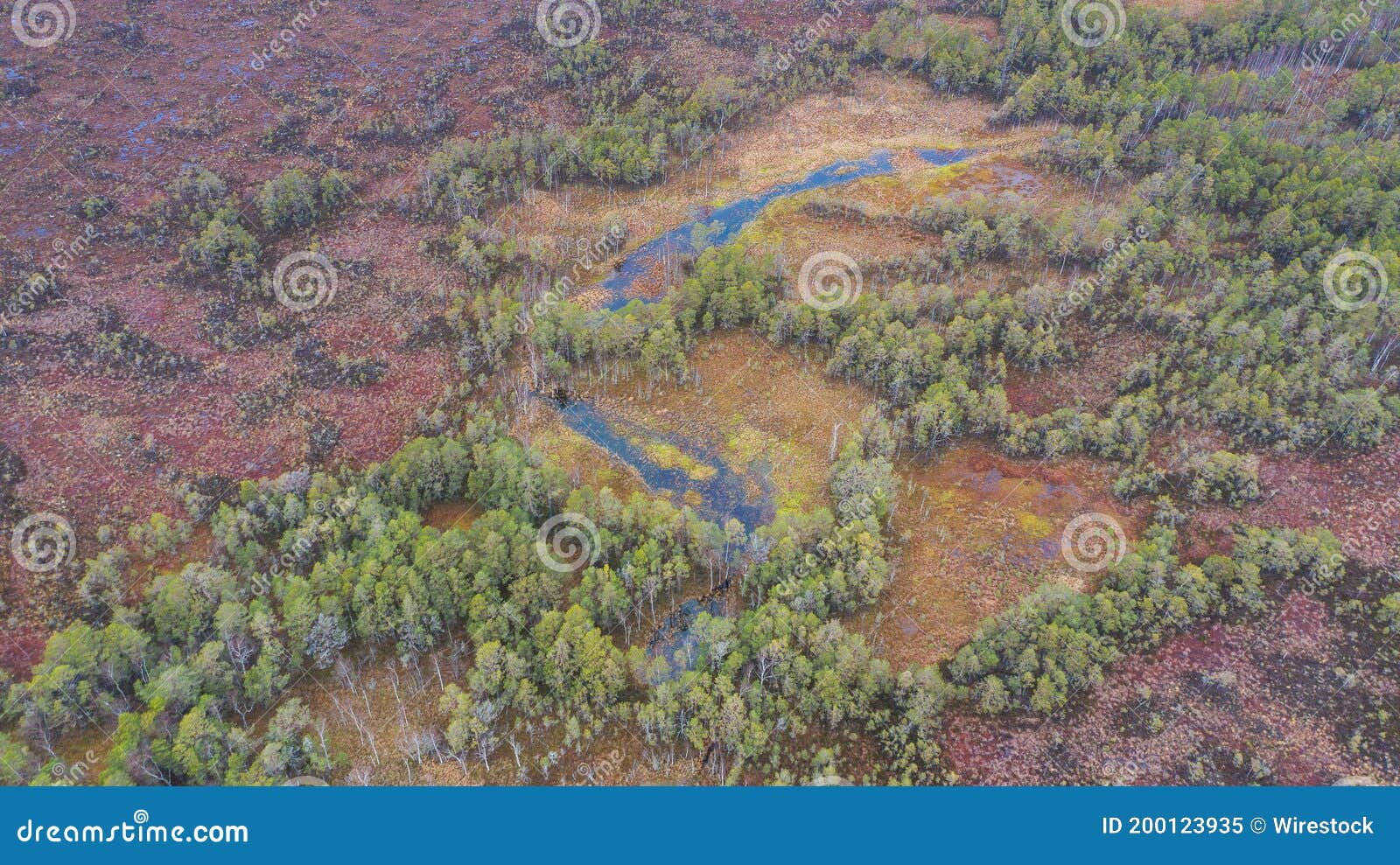 Aerial Fascinating Scenery of a River and Greenery Stock Image - Image ...
