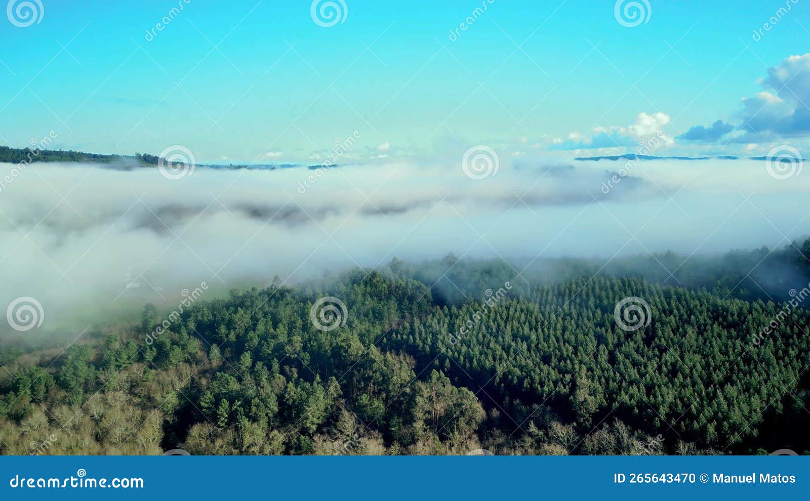 Aerial Footage of Dense Forests Covered in Mist Under the Blue Sky ...