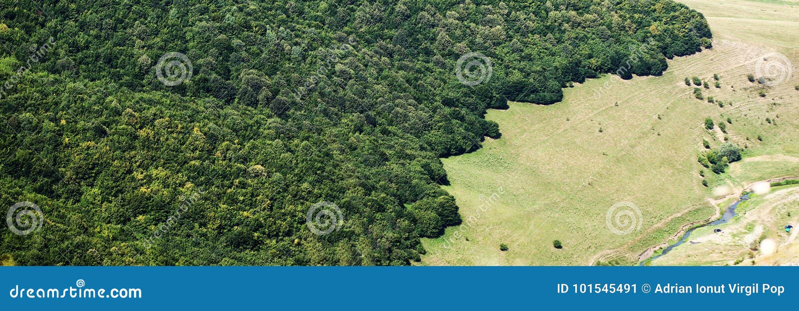 Aerial Forest Landscape View Stock Image - Image of forest, view: 101545491