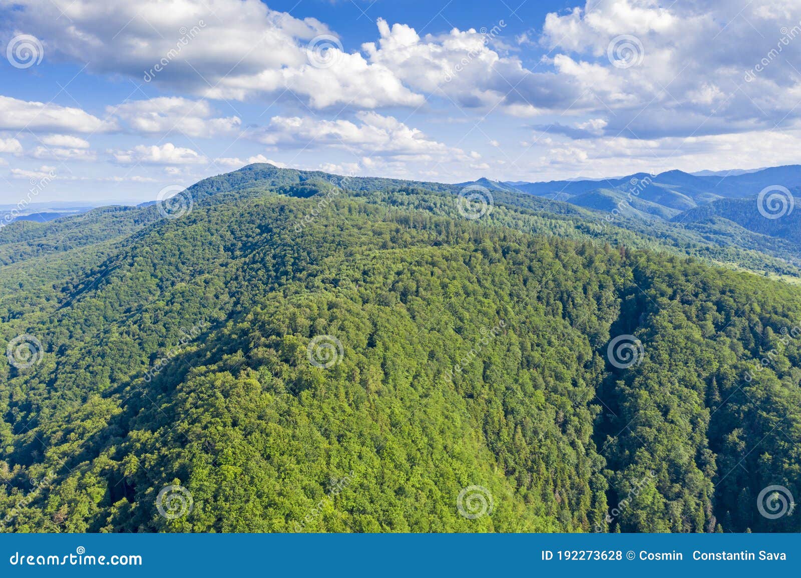 Aerial. Green Grass Lawn Texture Background. Royalty-Free Stock ...