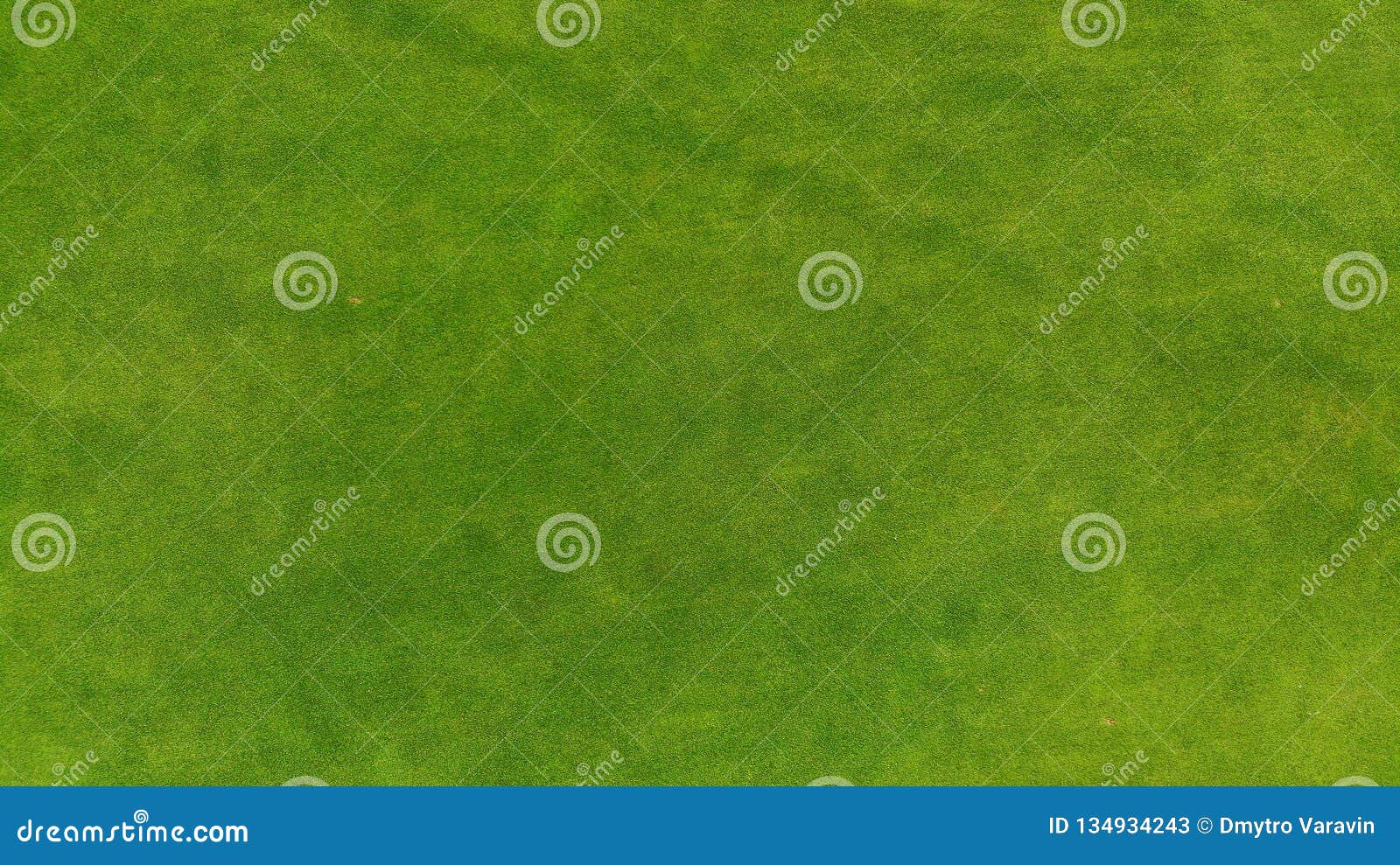 Aerial. Green Grass Texture Background. Stock Image - Image of meadow ...