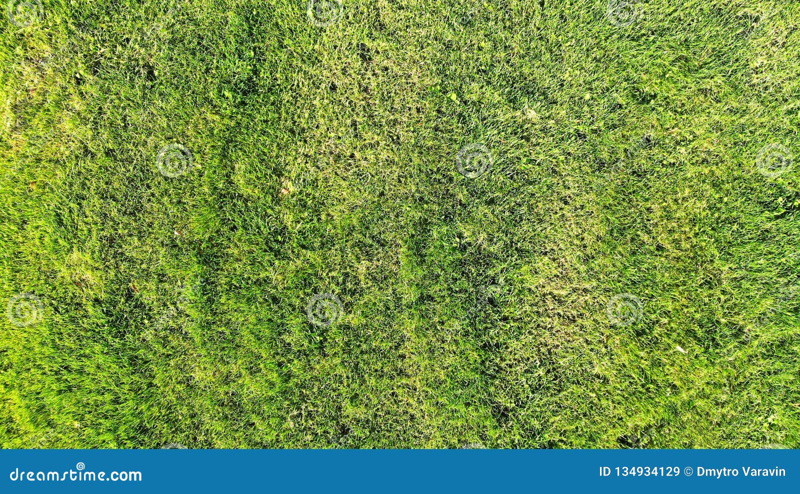 Aerial. Green Grass Texture Background. Stock Image - Image of ...