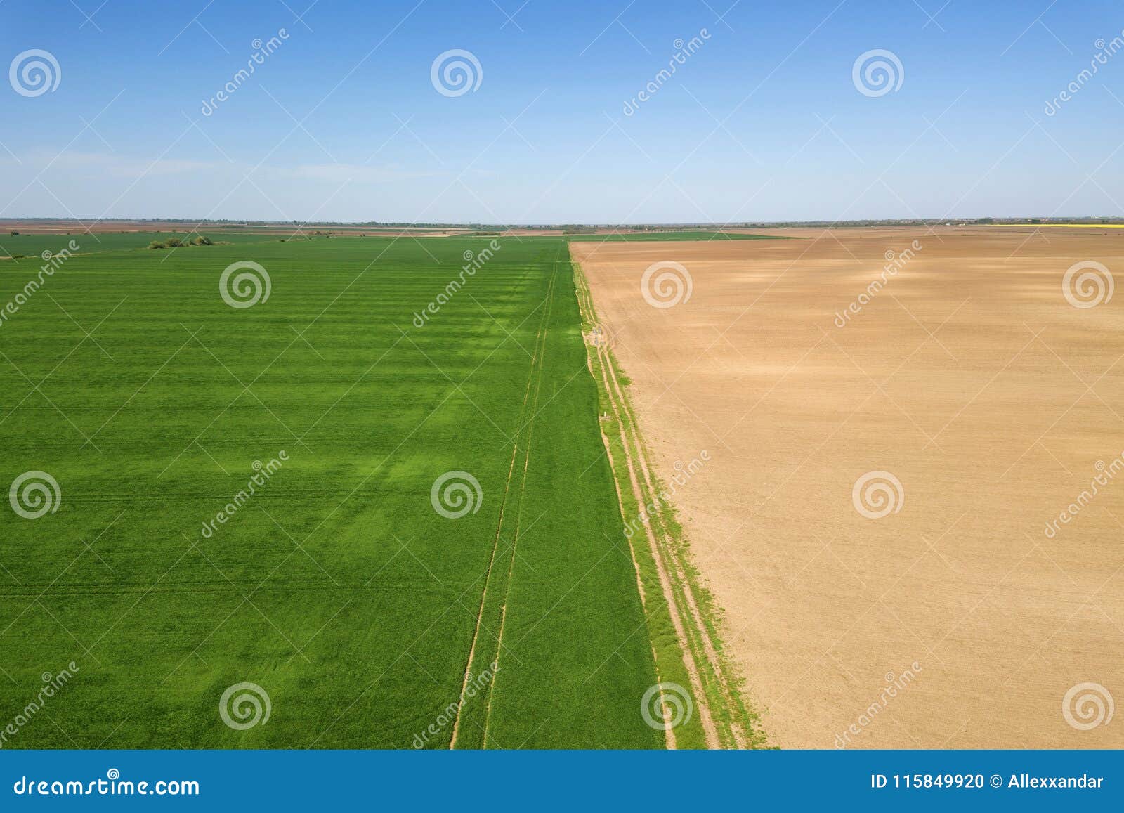 Aerial Green Wheat Field. Aerial View Large Green Field Stock Photo ...
