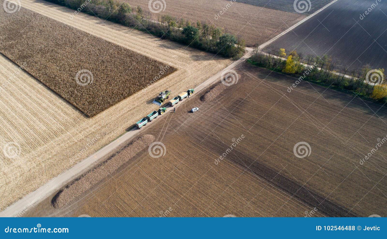 Corn Harvest Shoot from Drone Editorial Stock Photo - Image of crop ...