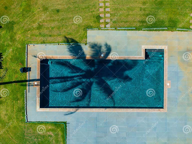 Aerial View of a Rectangular Pool with Palm Tree Shadow in Kauai Stock ...
