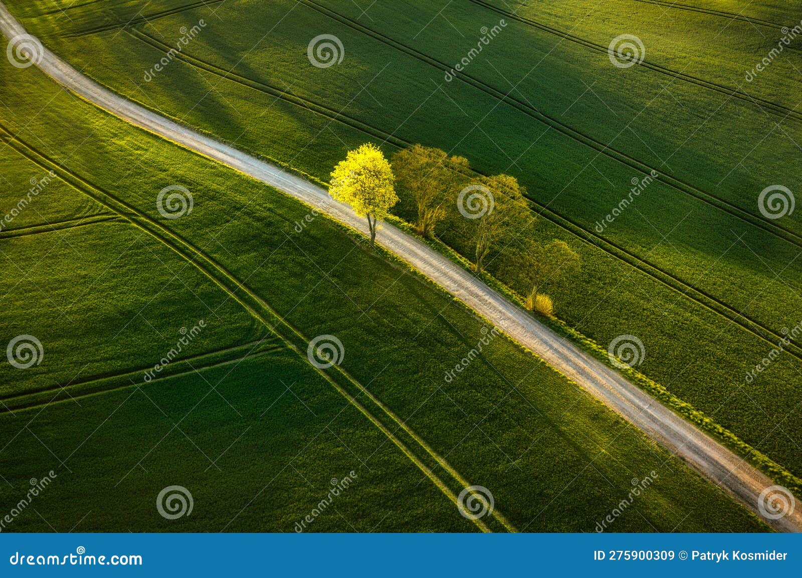 Aerial Landscape of the Green Fields in Northern Poland at Spring Time ...