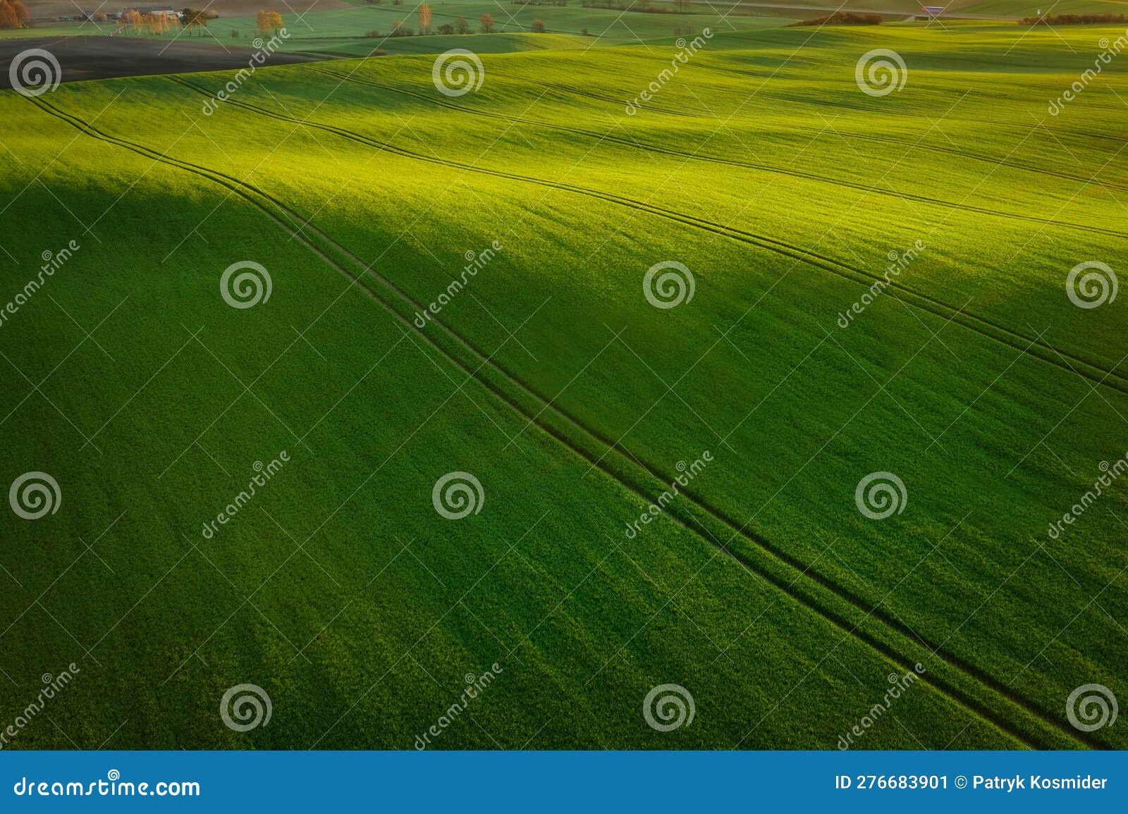 Aerial Landscape of the Green Fields in Northern Poland at Spring Time ...