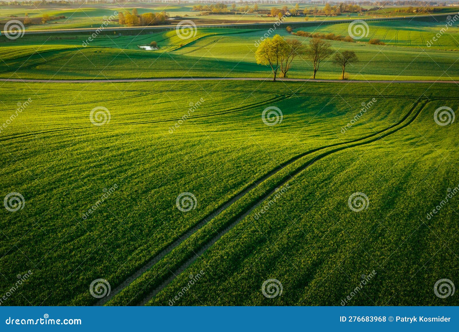 Aerial Landscape of the Green Fields in Northern Poland at Spring Time ...
