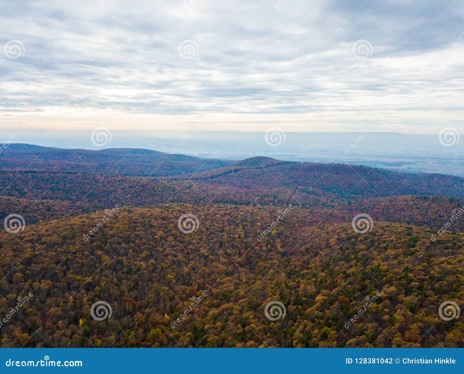 Aerial of Michaux State Forest in Pennsylvania during Fall in Th Stock ...