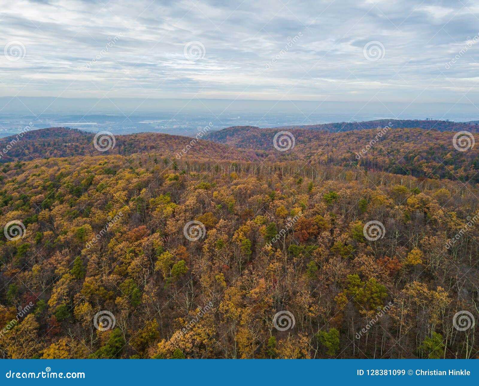 Aerial of Michaux State Forest in Pennsylvania during Fall in Th Stock ...