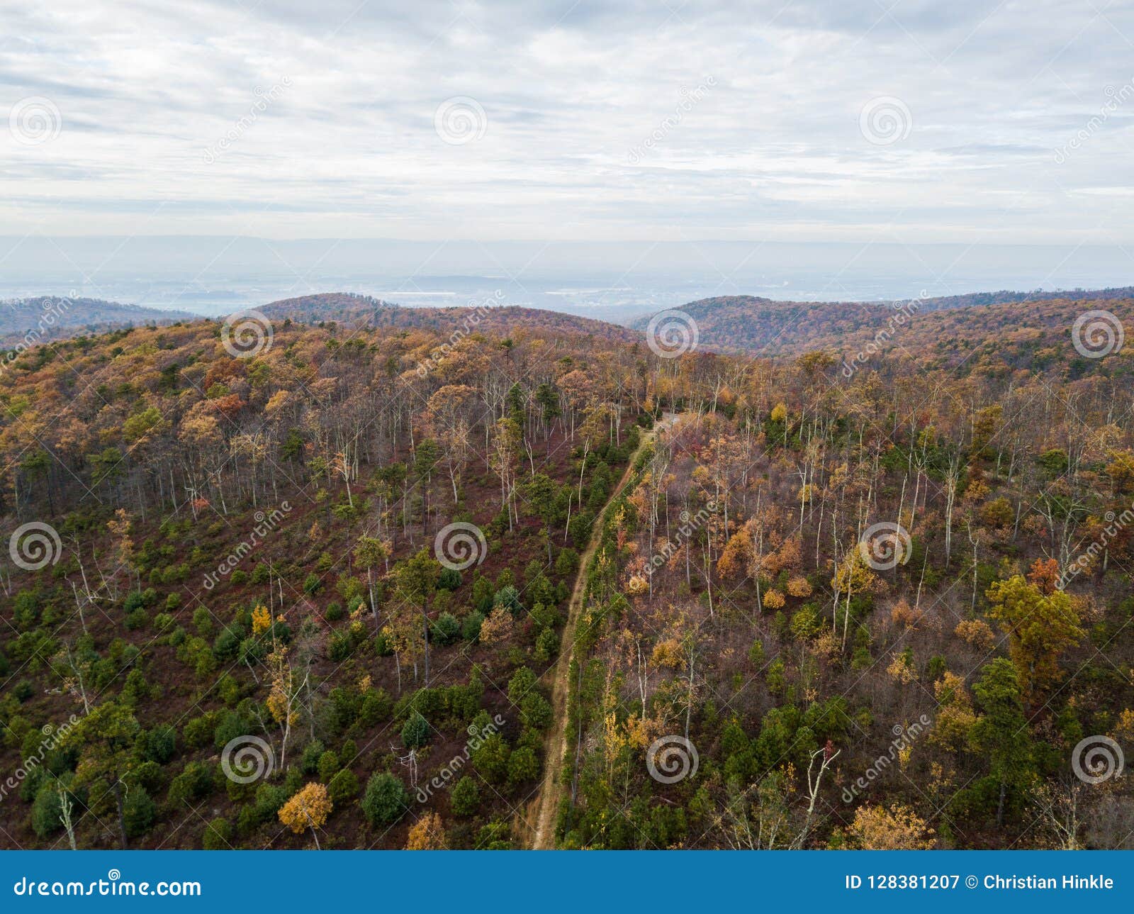 Aerial of Michaux State Forest in Pennsylvania during Fall in Th Stock ...