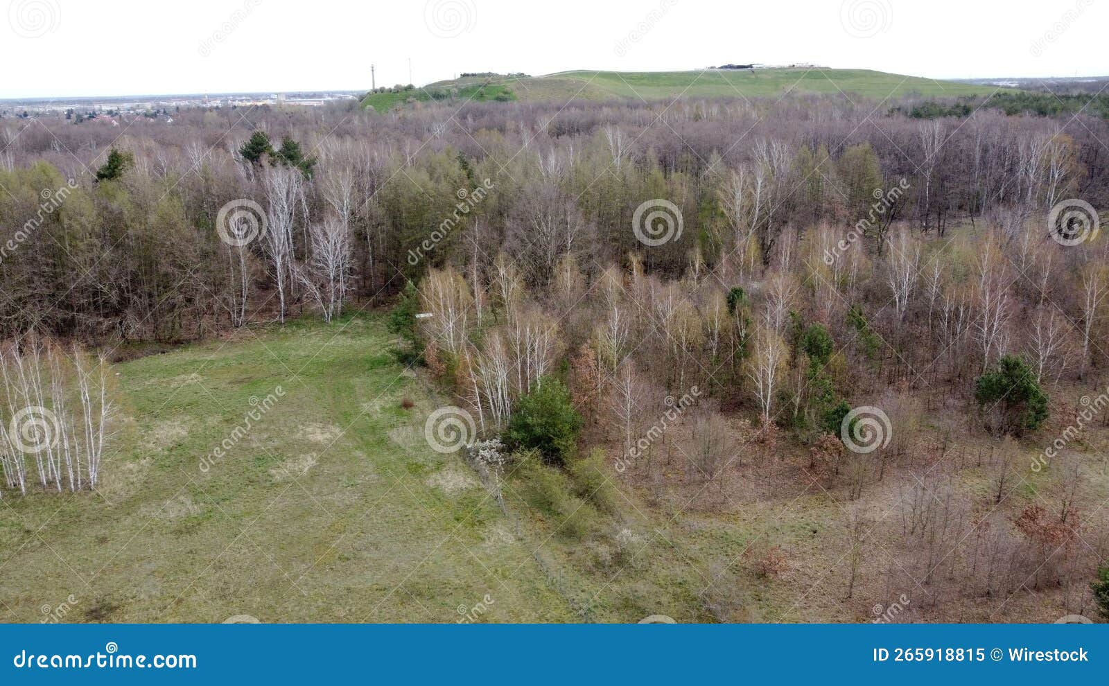 Aerial Natural View of a Forest Extinction Stock Image - Image of ...