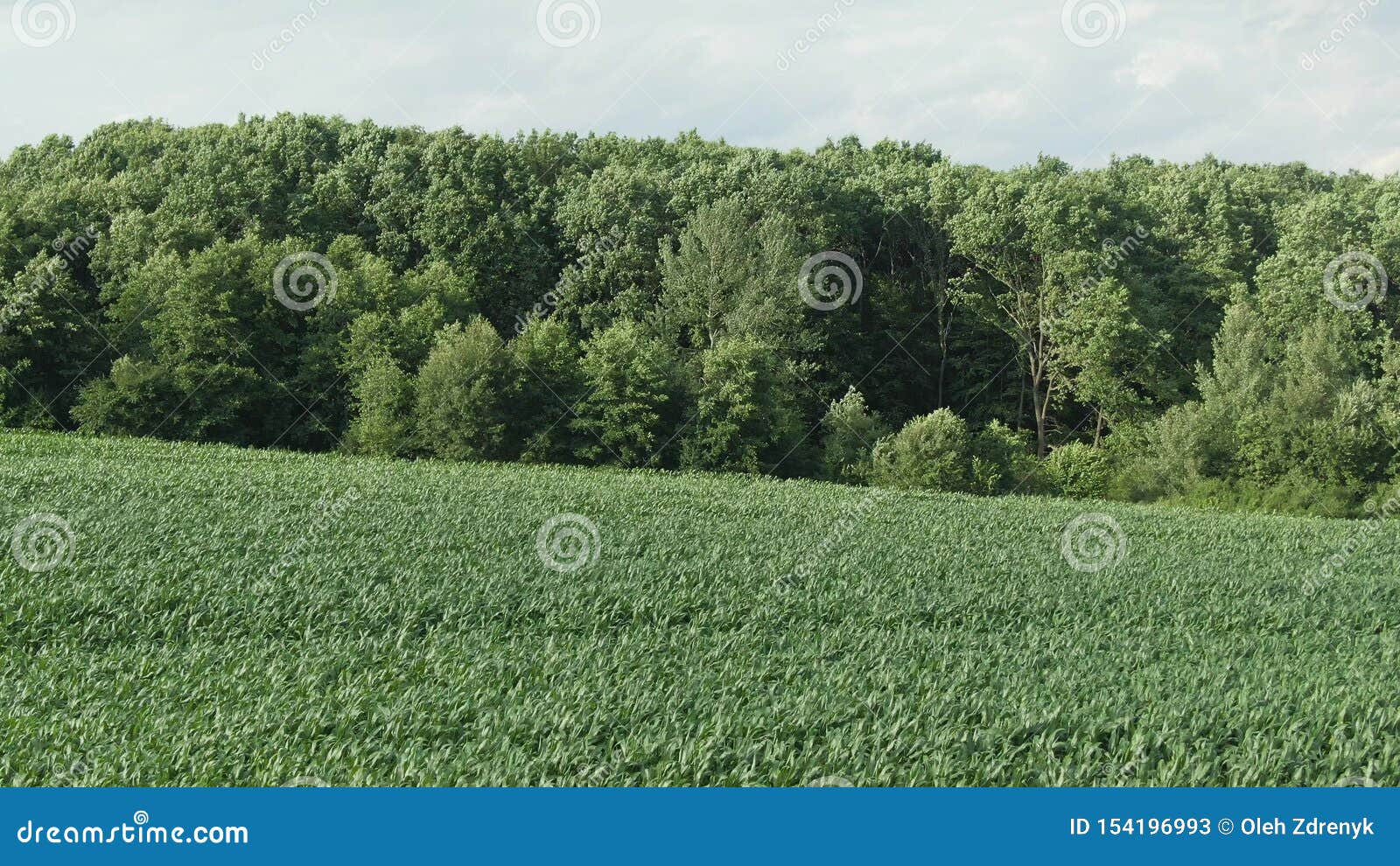 Aerial Nature Landscape Beautiful Hills Forests Fields 4k. Stock Image ...