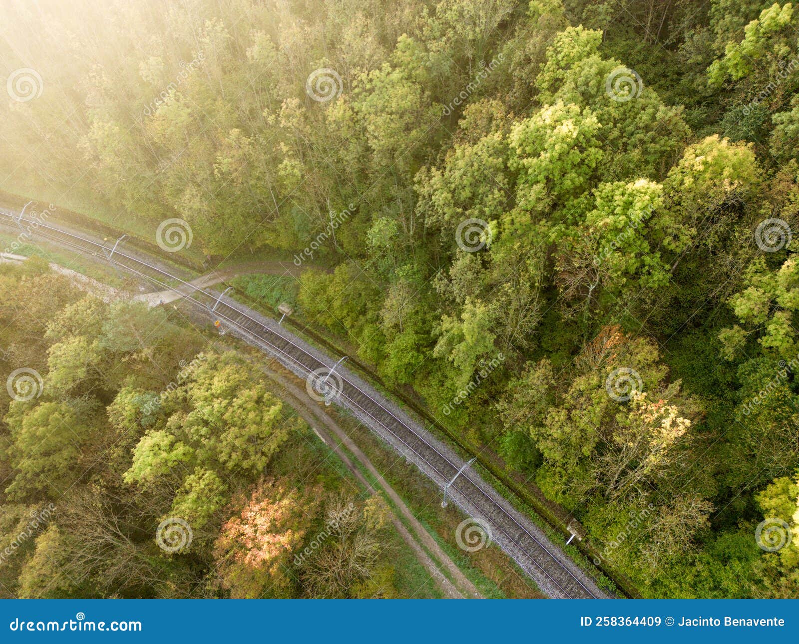 Overhead View of a Forest with a Train Track Rail Stock Image - Image ...
