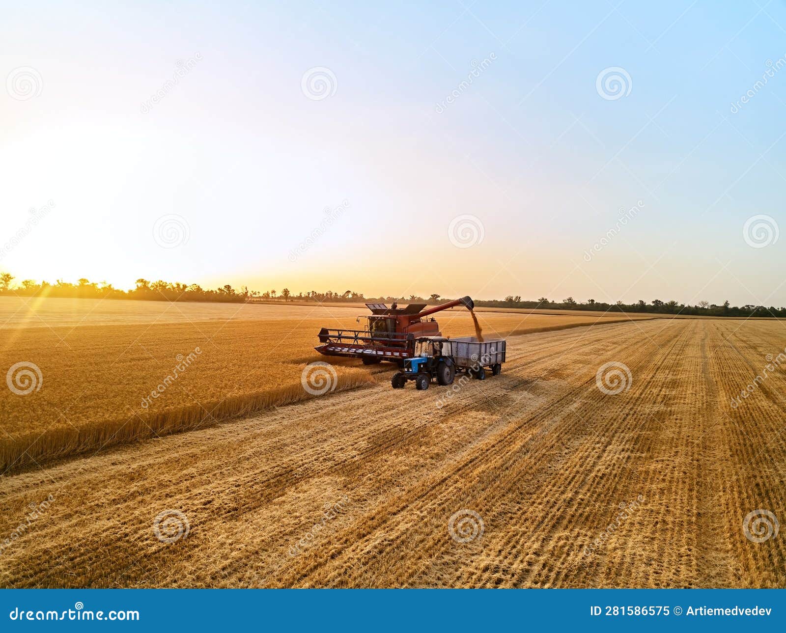 Aerial of Overloading Grain from Combine Harvester To Grain Box Trailer ...