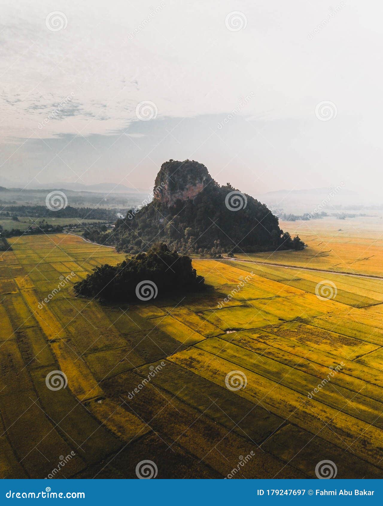 Aerial Panorama View of Paddy Field and Mountain Stock Image - Image of ...