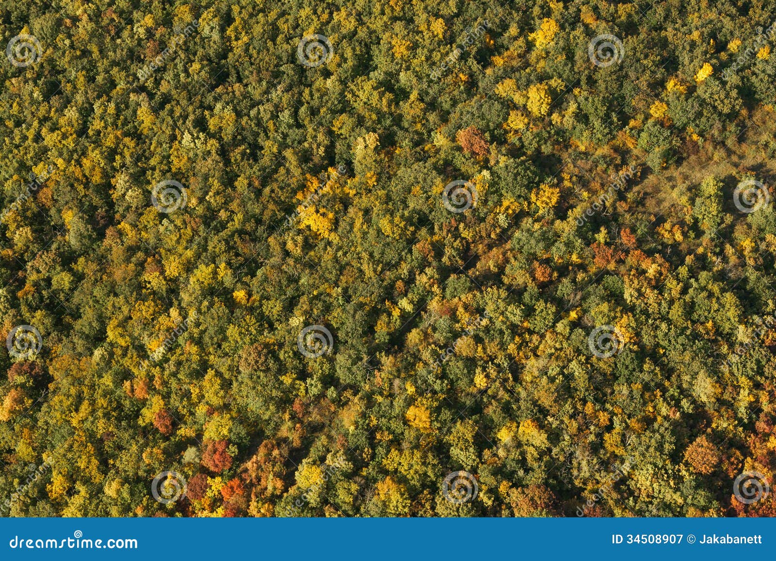 Aerial photo of a forest stock image. Image of forest - 34508907