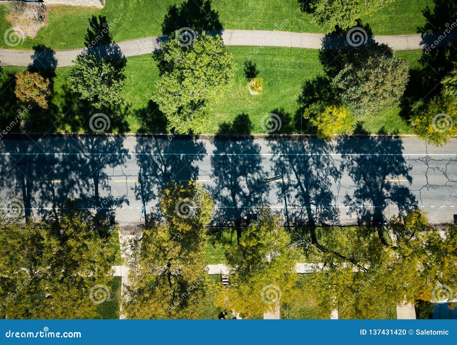 Aerial Photo of Tree Shadows Stock Photo - Image of shadows ...