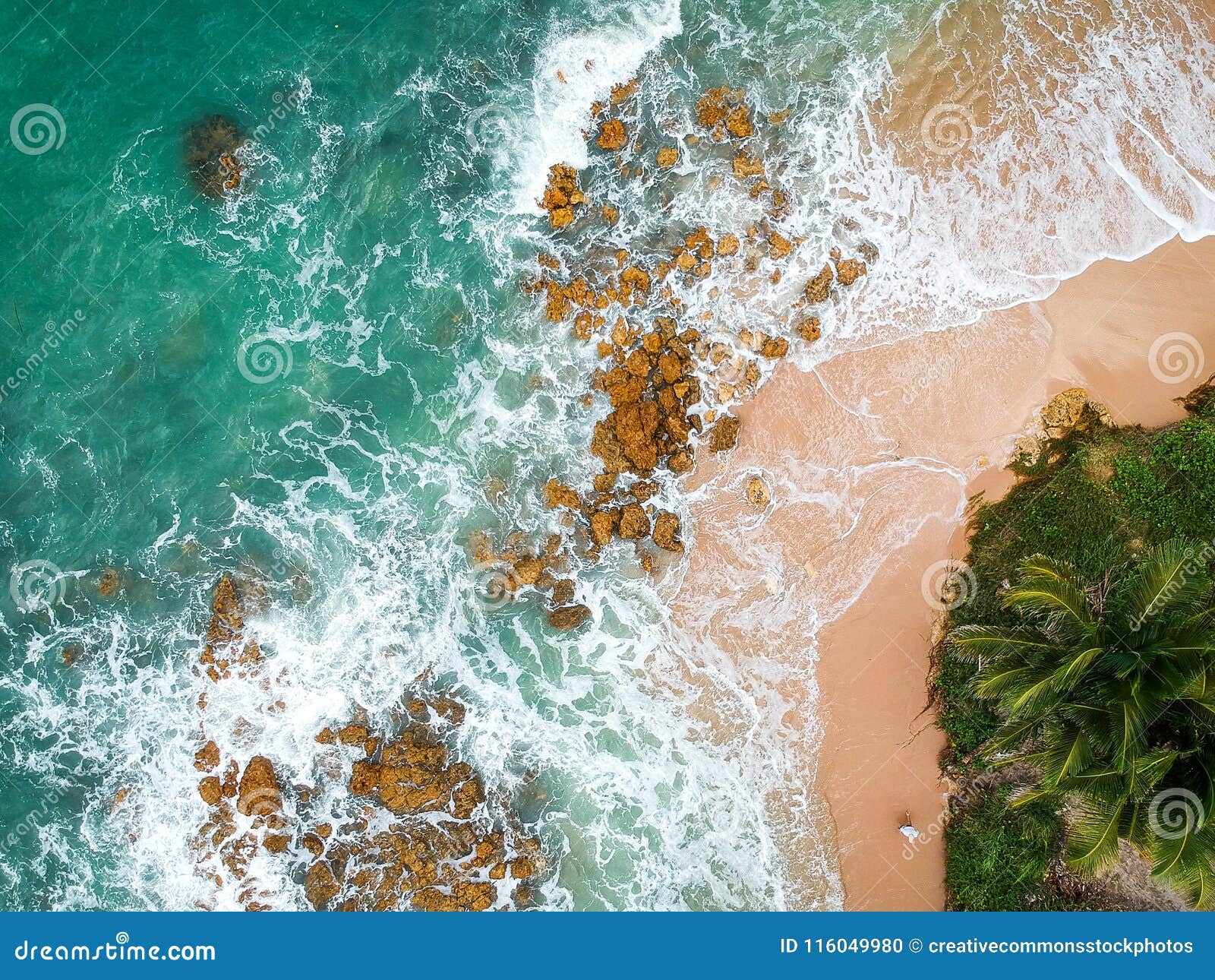 Aerial Photography Of Seashore Picture. Image: 116049980