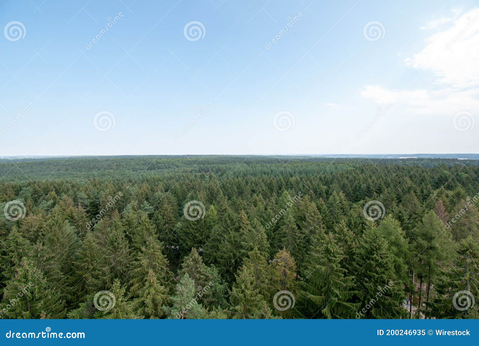 Aerial Shot of Dense Forests Stock Image - Image of travel, view: 200246935