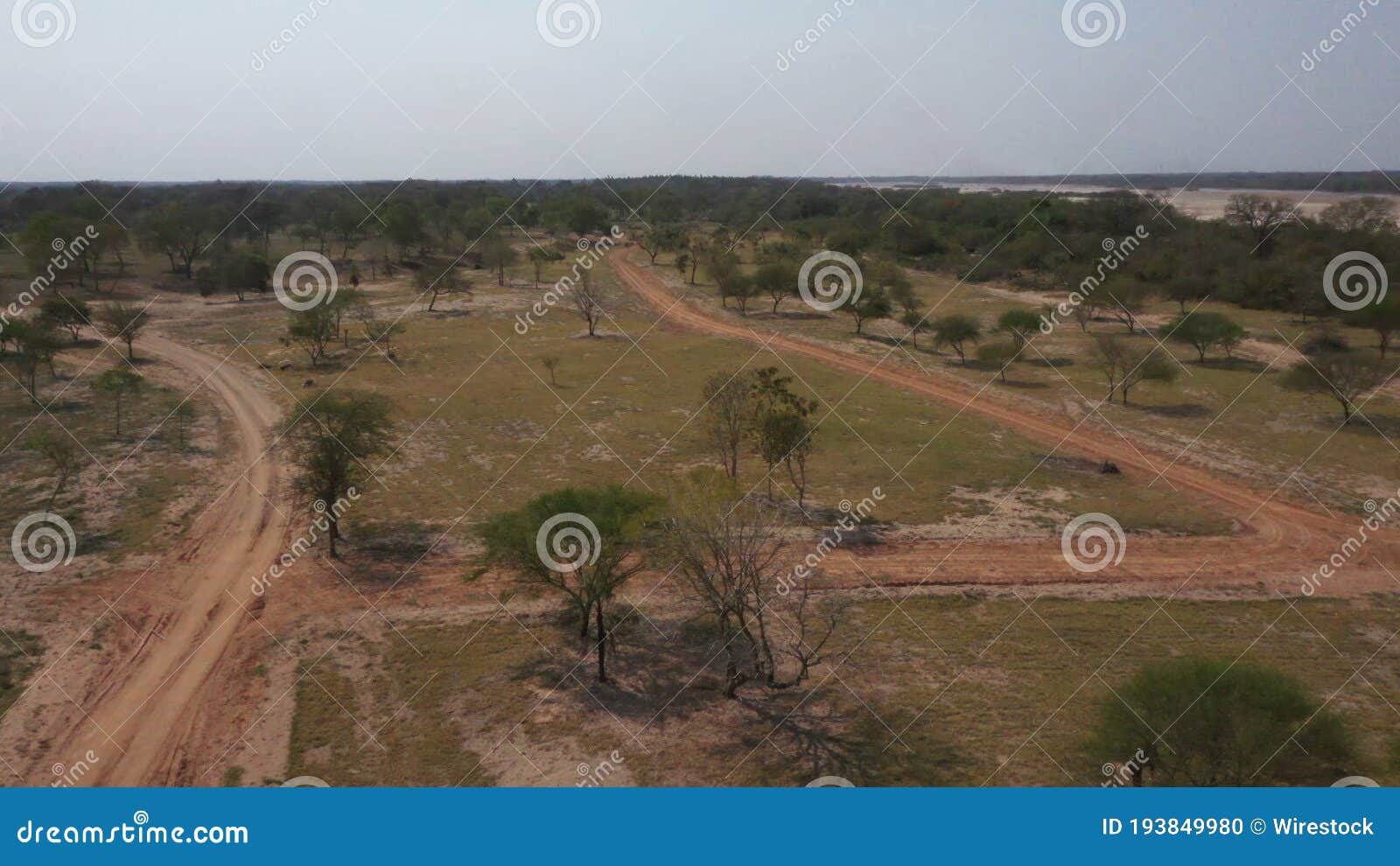 Aerial Shot of Dirt Road Diverging in Three Directions Stock Photo ...