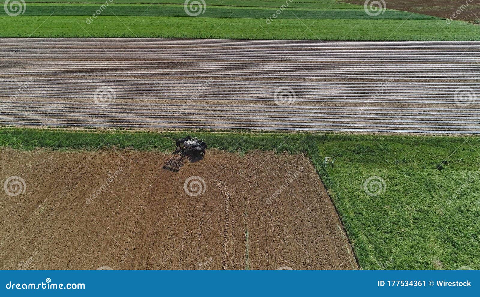 Aerial Shot of Donkeys Pulling Farming Equipment Stock Image - Image of ...