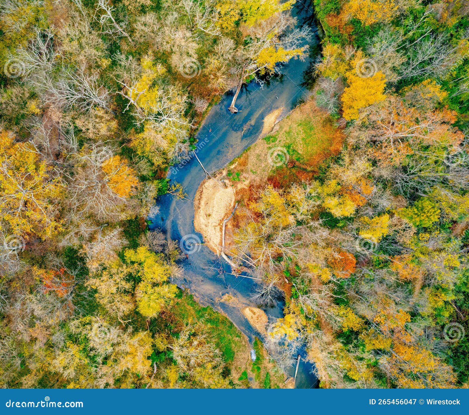 Aerial Shot of Fall Foliage in a Forest. Stock Image - Image of wood ...