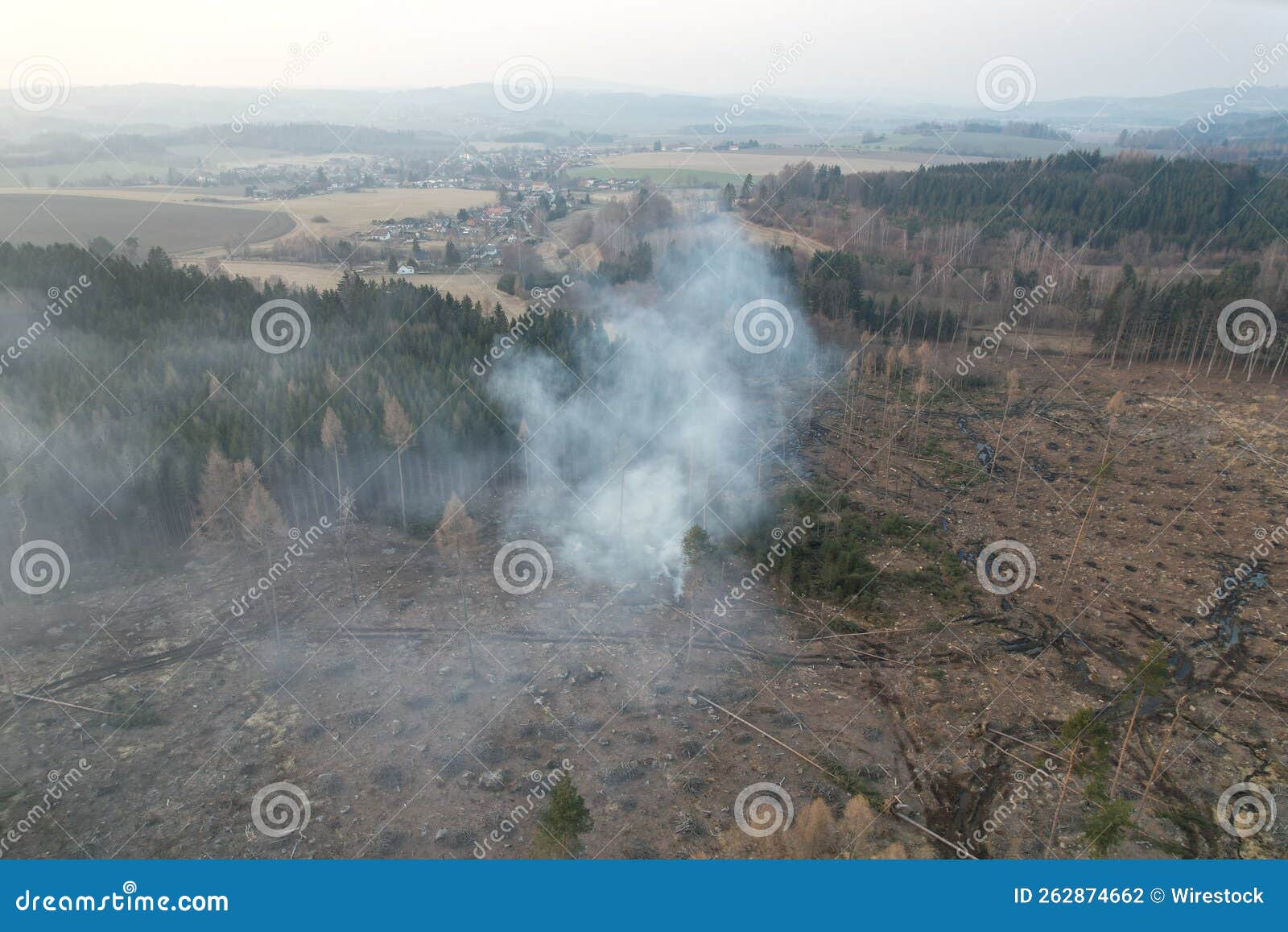 Aerial Shot of the Fire in the Field Covered with Trees Stock Photo ...