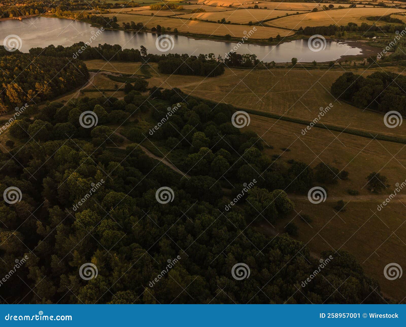 Aerial shot of a forest stock image. Image of beautiful - 258957001