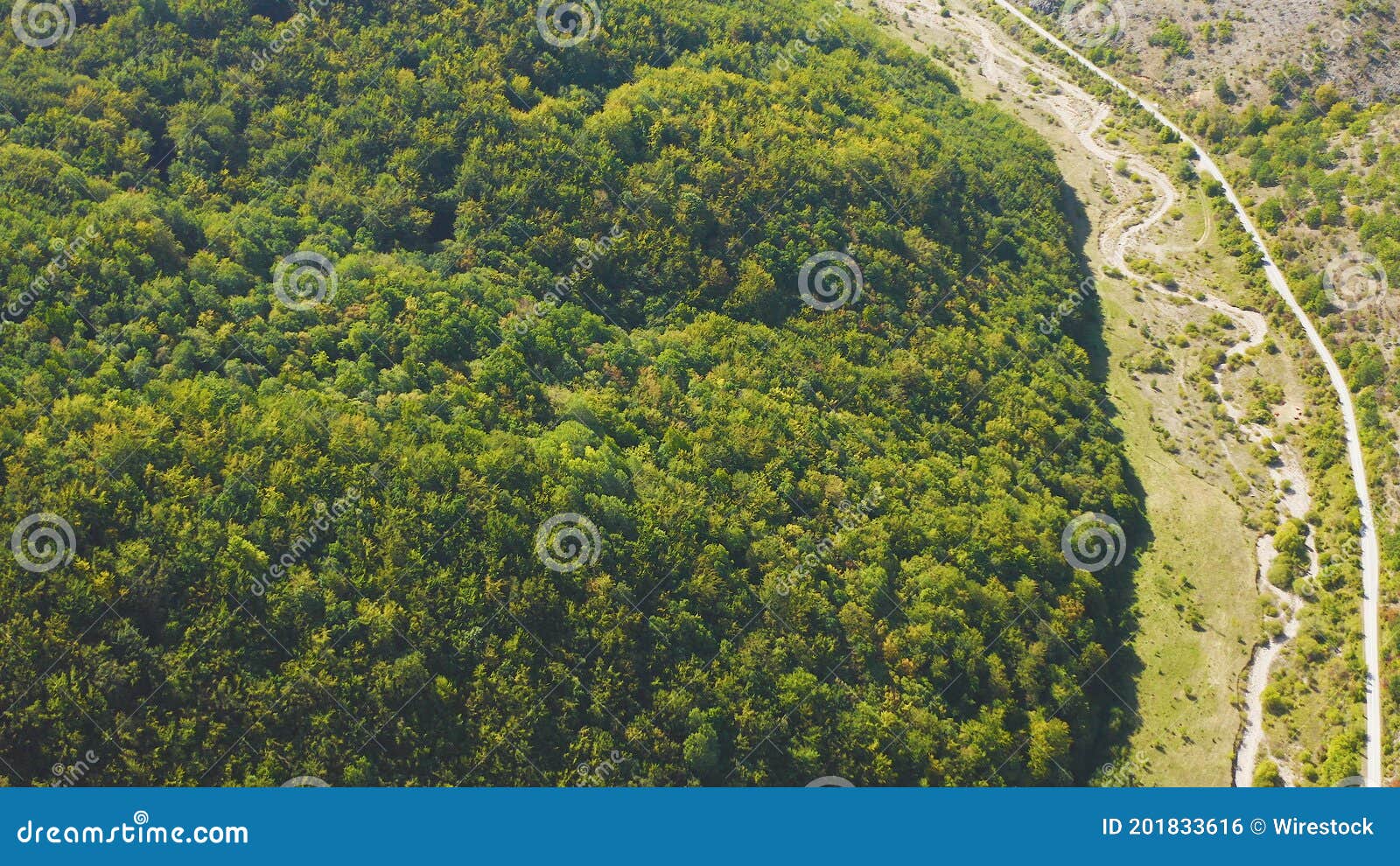 Aerial shot of a forest stock photo. Image of countryside - 201833616