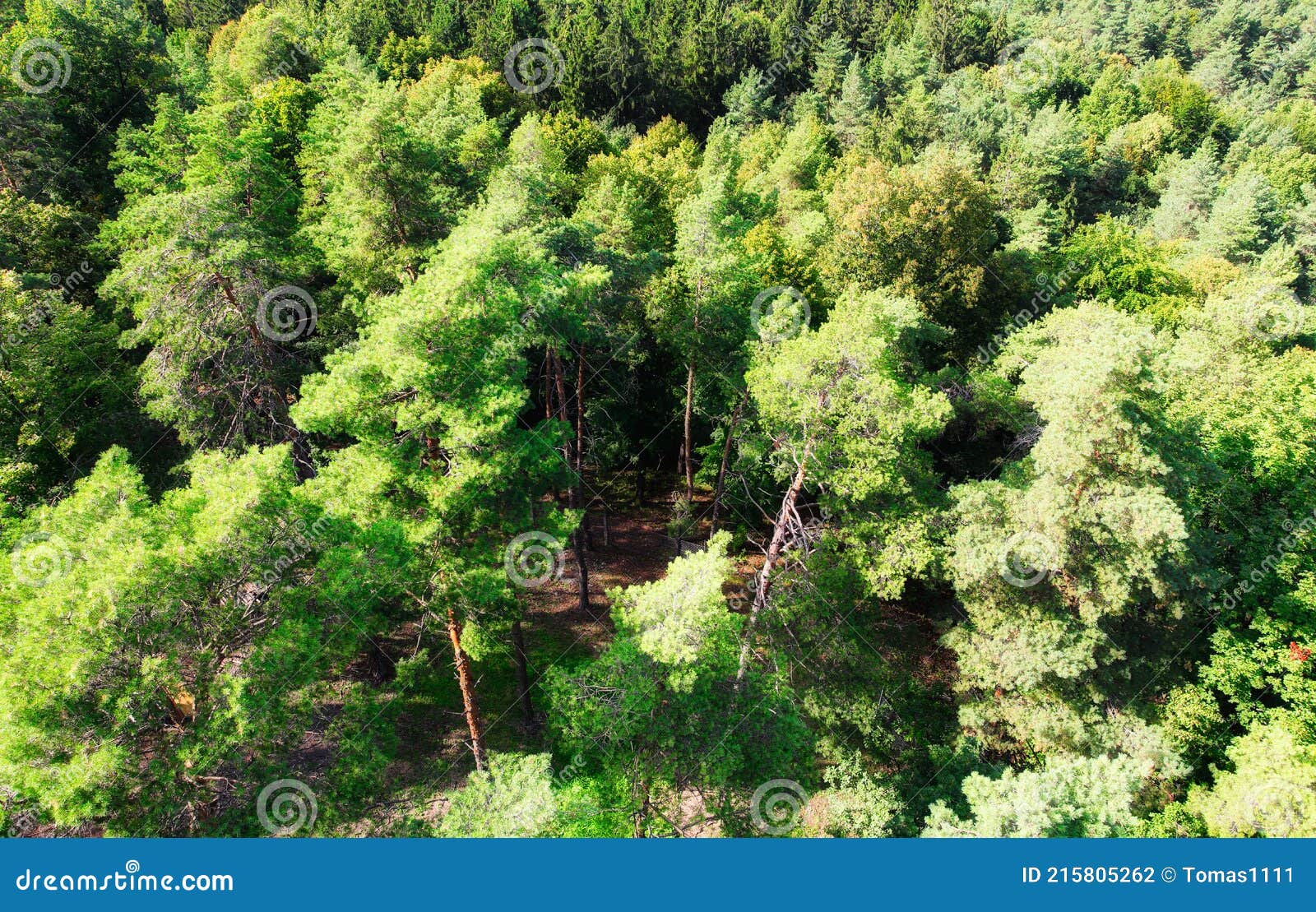 Aerial Shot of Forest Landscape Stock Photo - Image of high, park ...