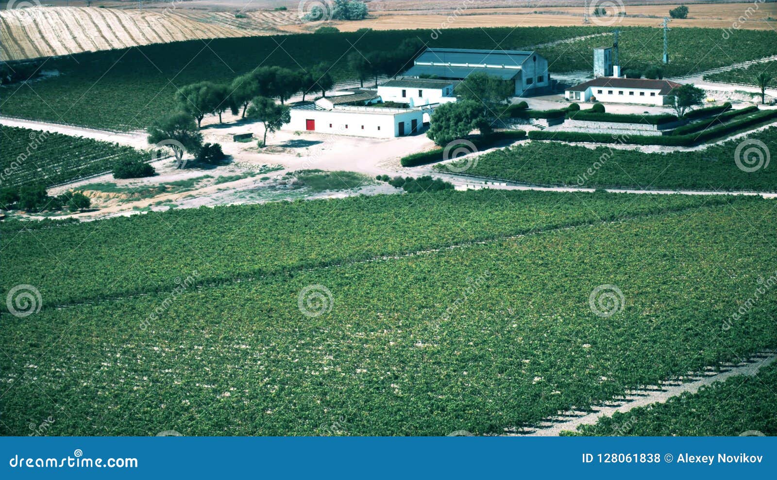 Aerial View of Generic Spanish Farm and Vineyard Stock Photo - Image of ...