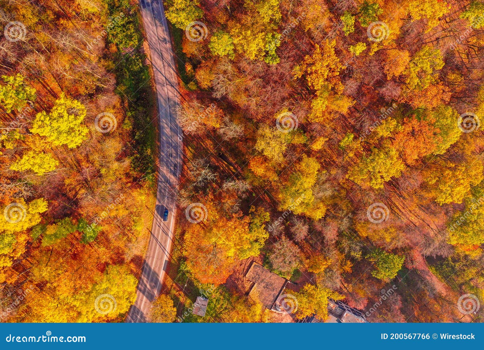 Aerial Shot of a Golden Forest in Autumn Stock Photo - Image of park ...