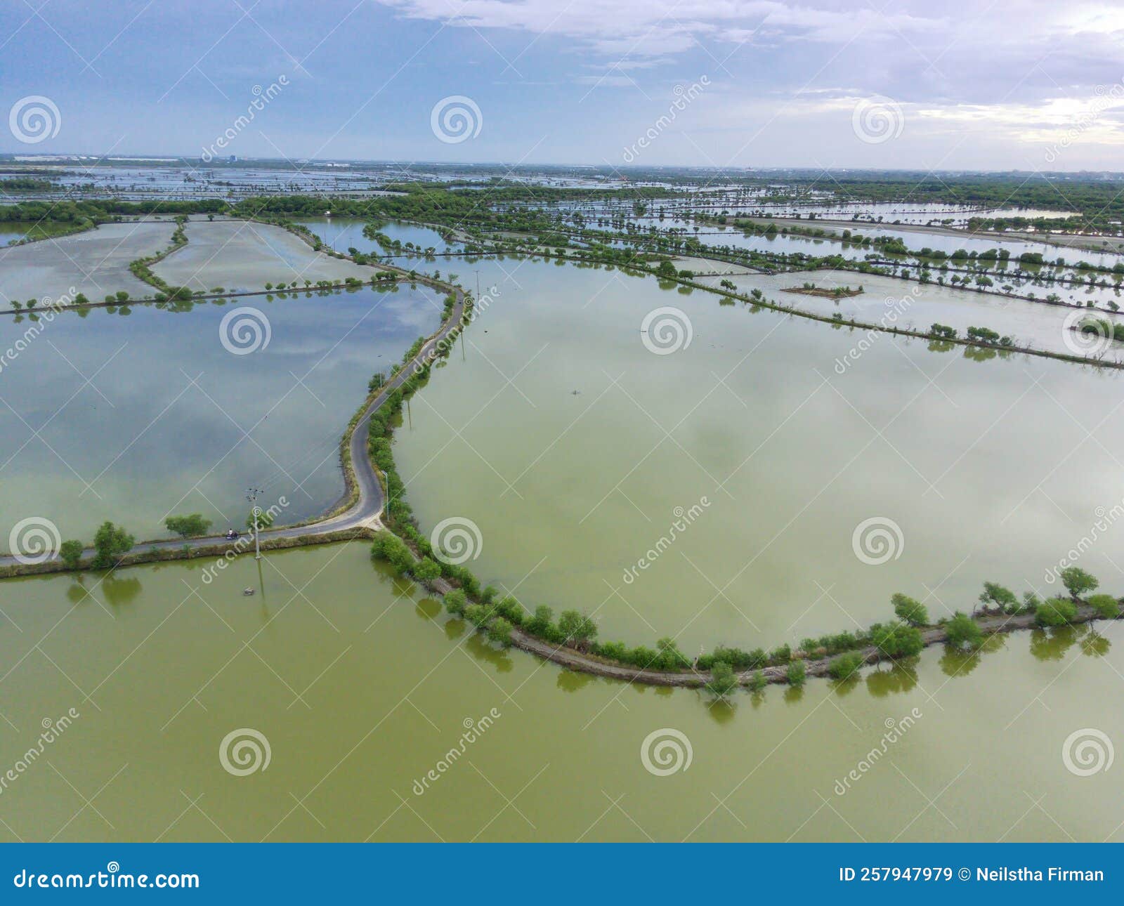 Mangrove Ponds in Mengare Gresik East Java Indonesia Stock Image ...
