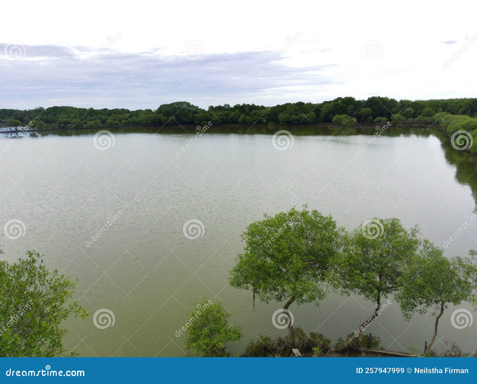 Mangrove Ponds in Mengare Gresik East Java Indonesia Stock Image ...