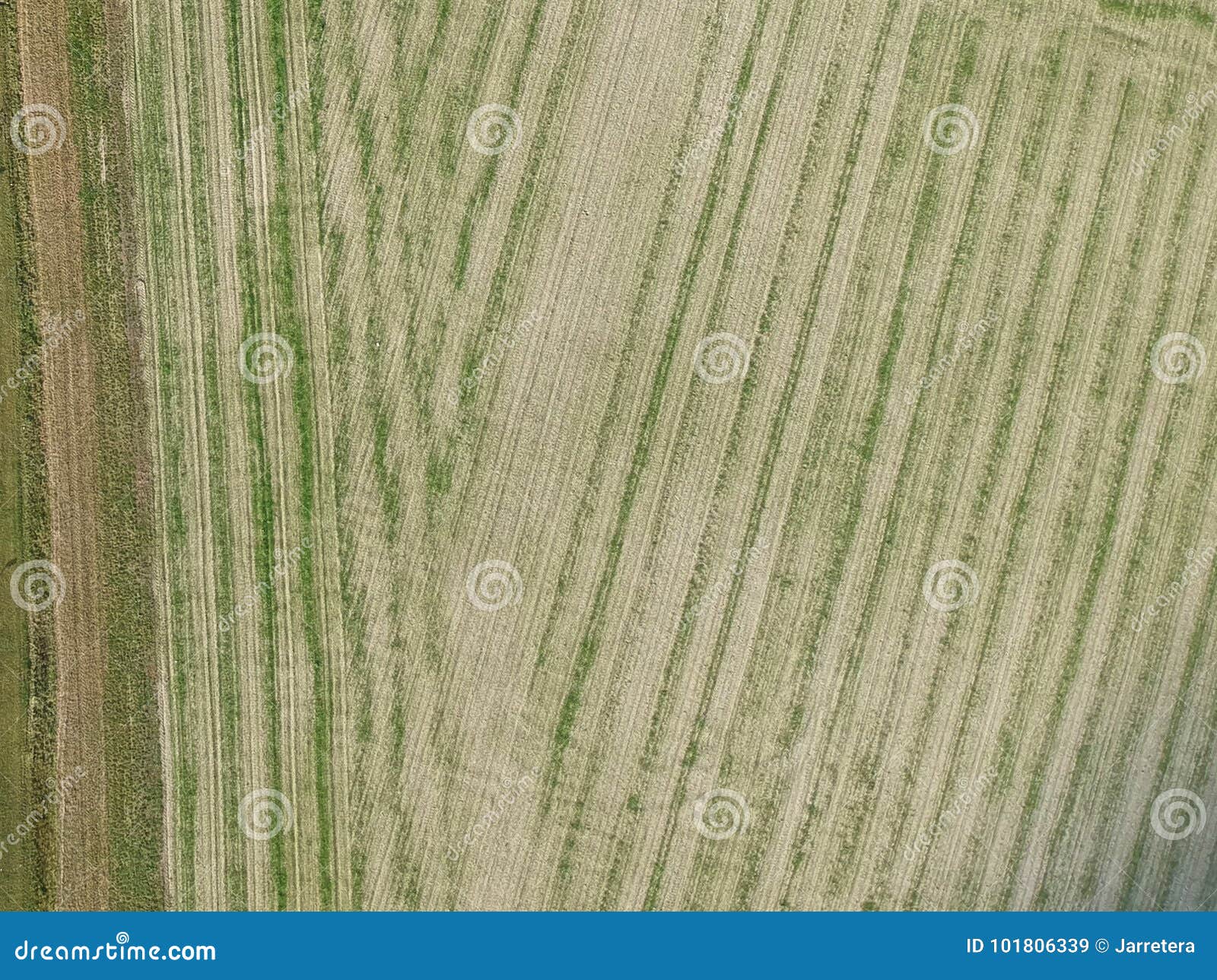 Aerial Shot of a Sandy Grass Field Stock Image - Image of field, sandy ...