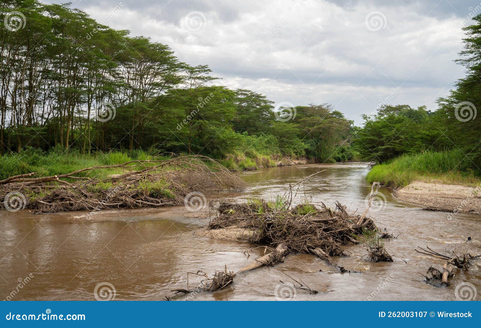 Aerial Shot of a Swamp on a Sunny Day in Uganda Stock Image - Image of ...