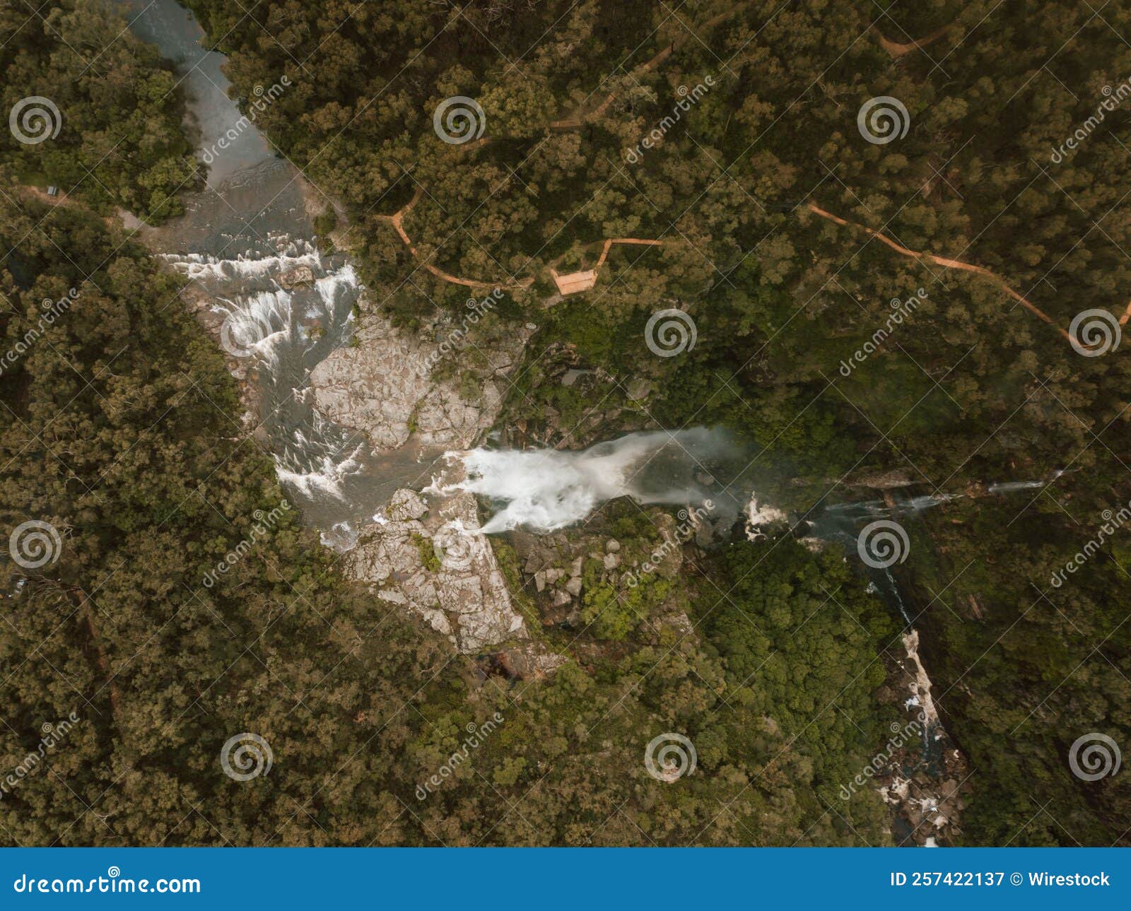 Aerial Shot of a Waterfall in a Dense Forest Stock Image - Image of ...