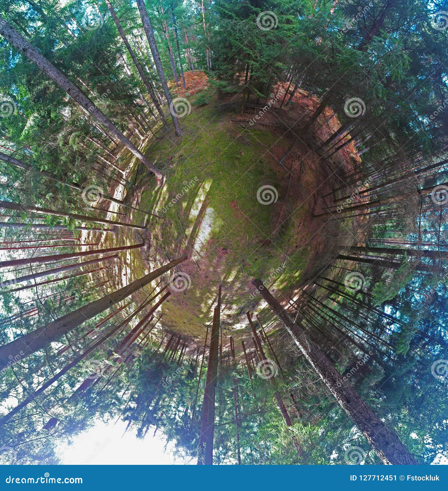 Aerial Spherical Panorama View on Dark Coniferous Forest in Autumn ...
