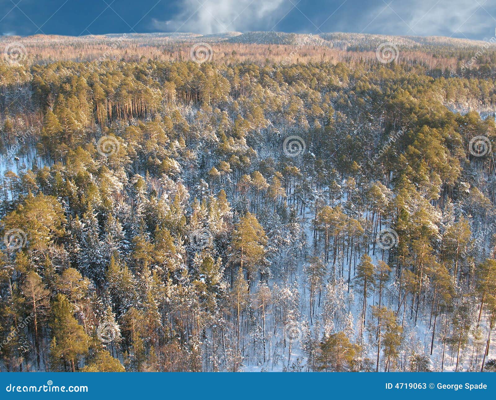 Aerial taiga 11 sky stock image. Image of blockage, clear - 4719063