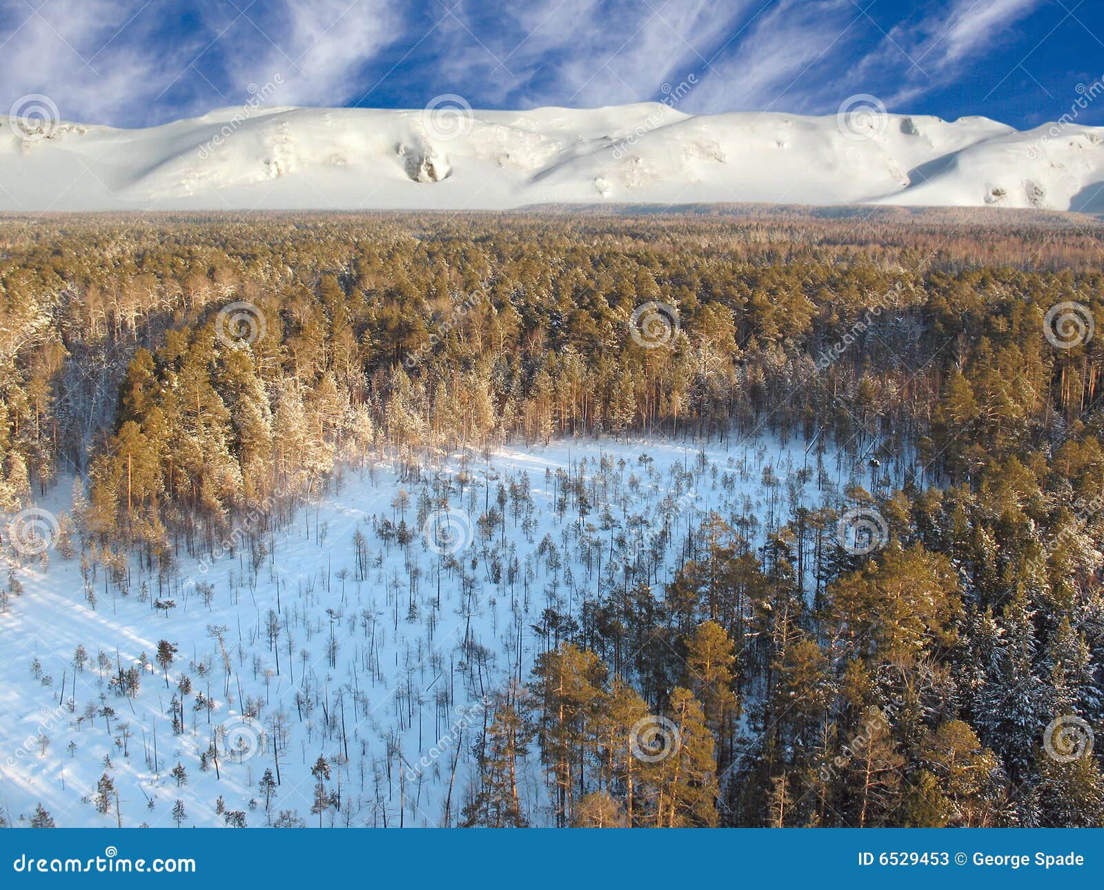 Aerial taiga stock image. Image of cloud, environment - 6529453