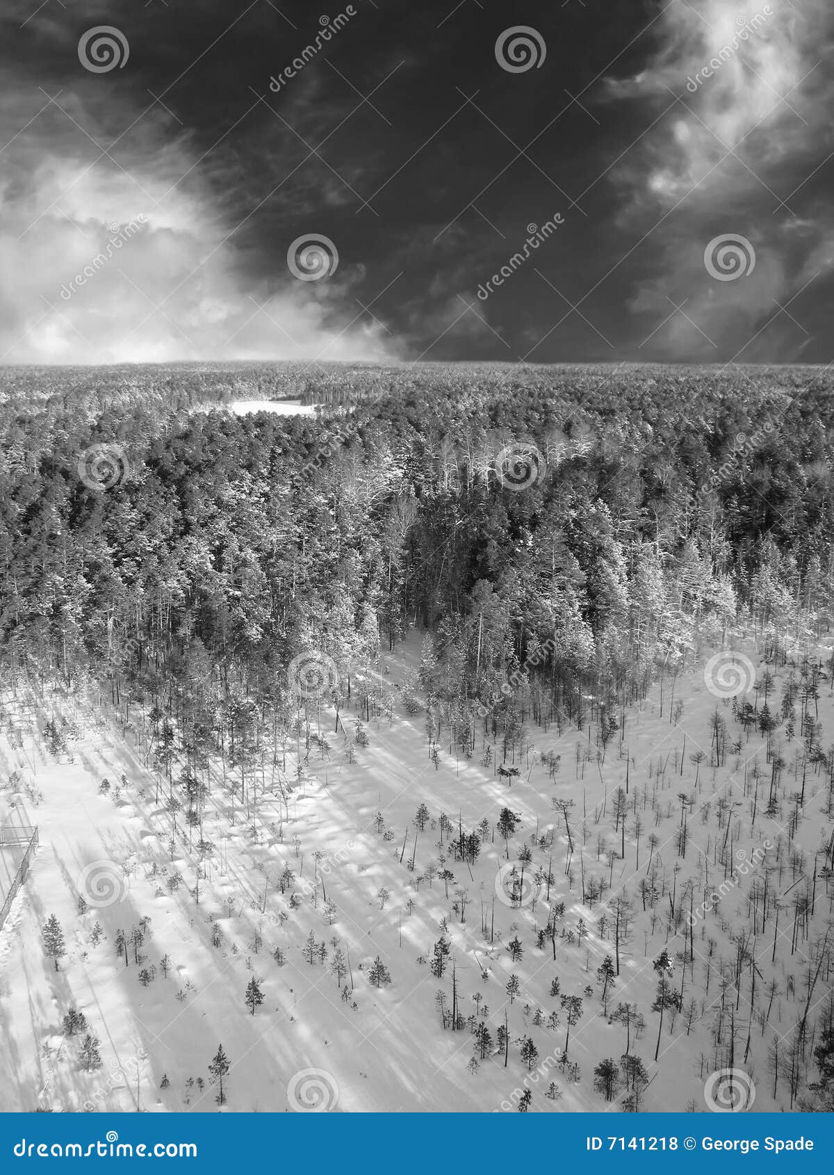 Aerial taiga sky stock photo. Image of nature, polar, forest - 7141218