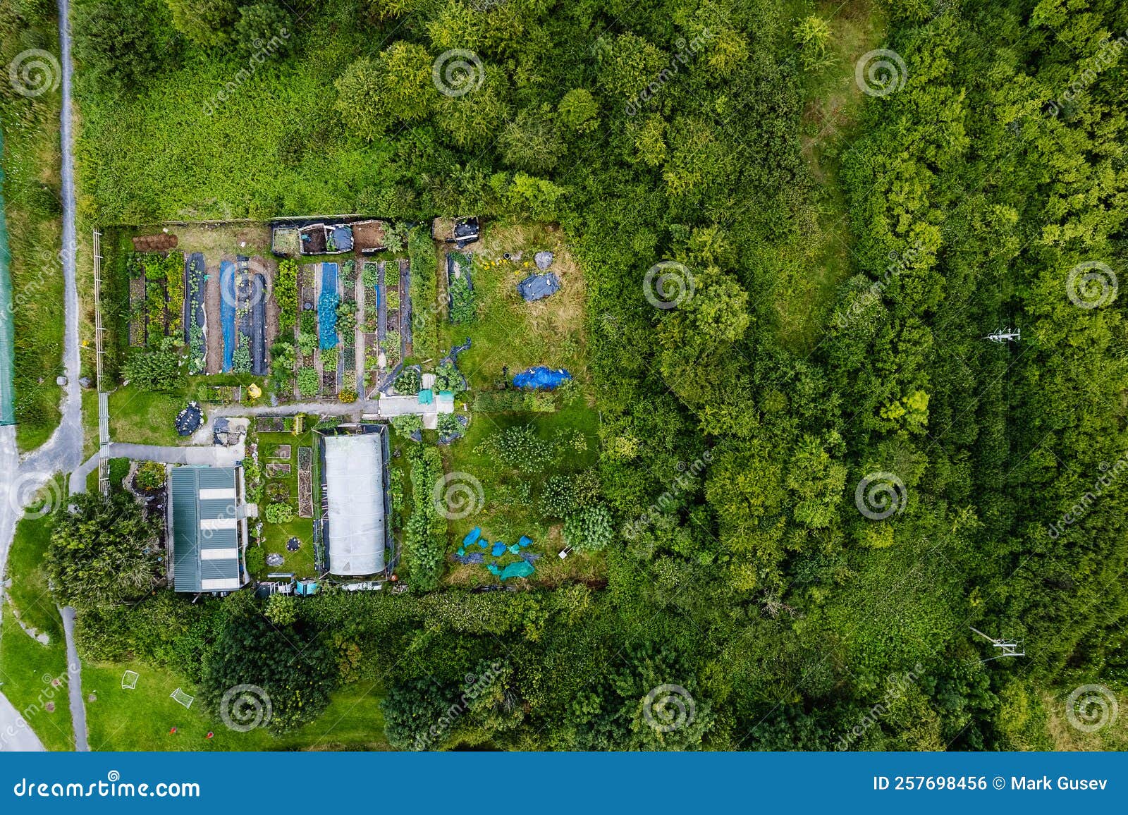 Aerial Top Down View on a Small Garden Surrounded by Green Wild Trees ...