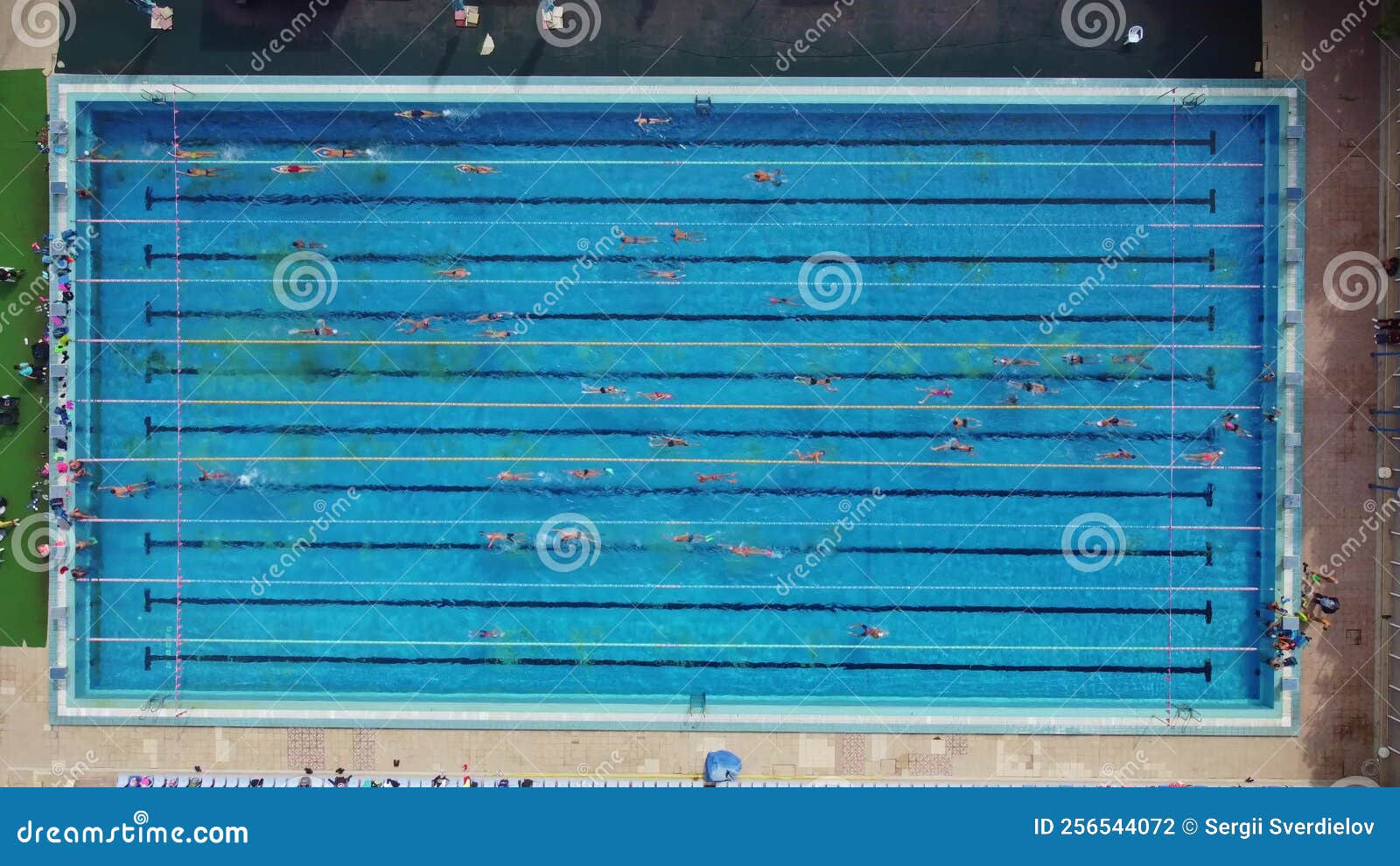 Aerial View of Swimmers in a Open Swimming Pool Stock Footage - Video ...