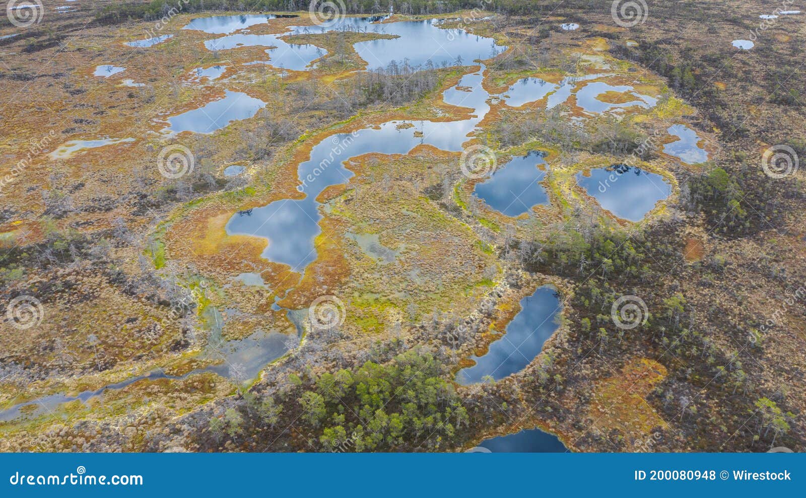 Aerial Top-down View To the Complex Natural Peat Bog Pattern with the ...