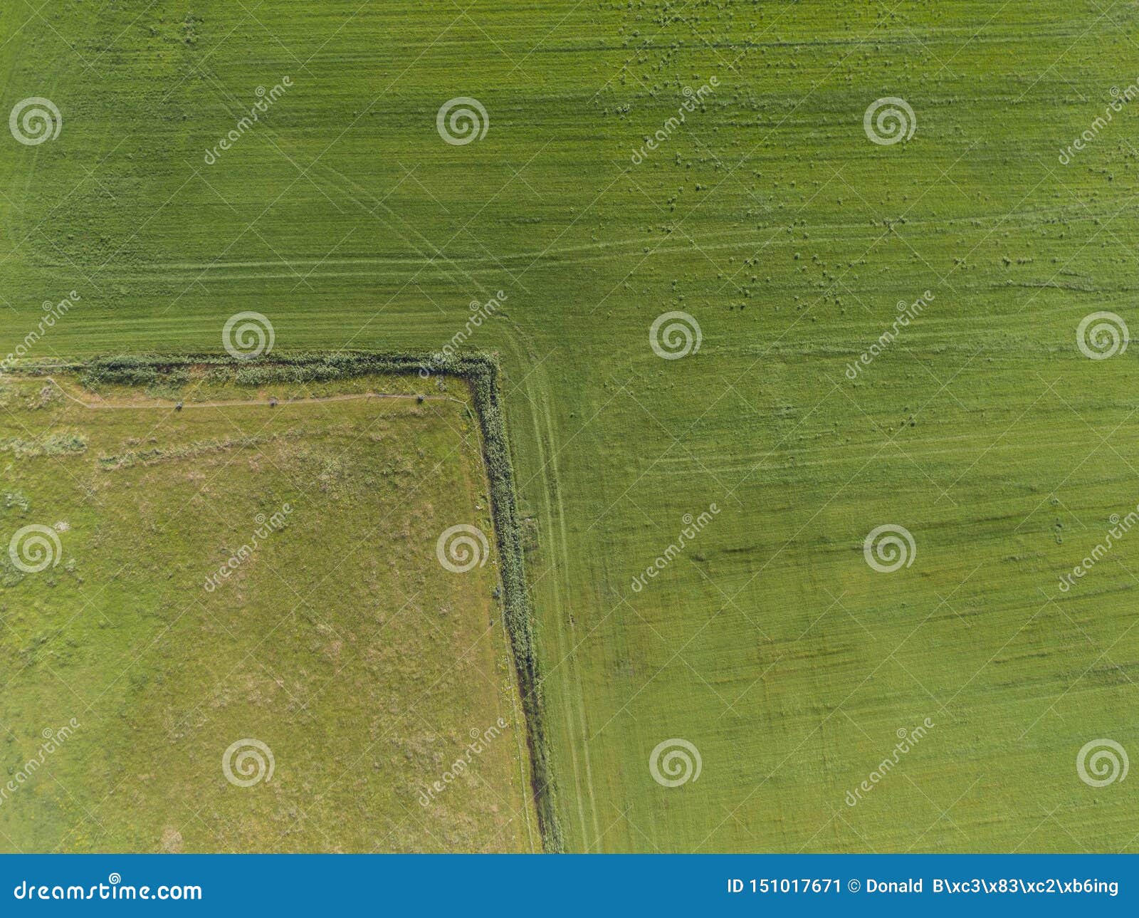 Aerial Top Down View of Two Agricultural Fields with Different Colors ...