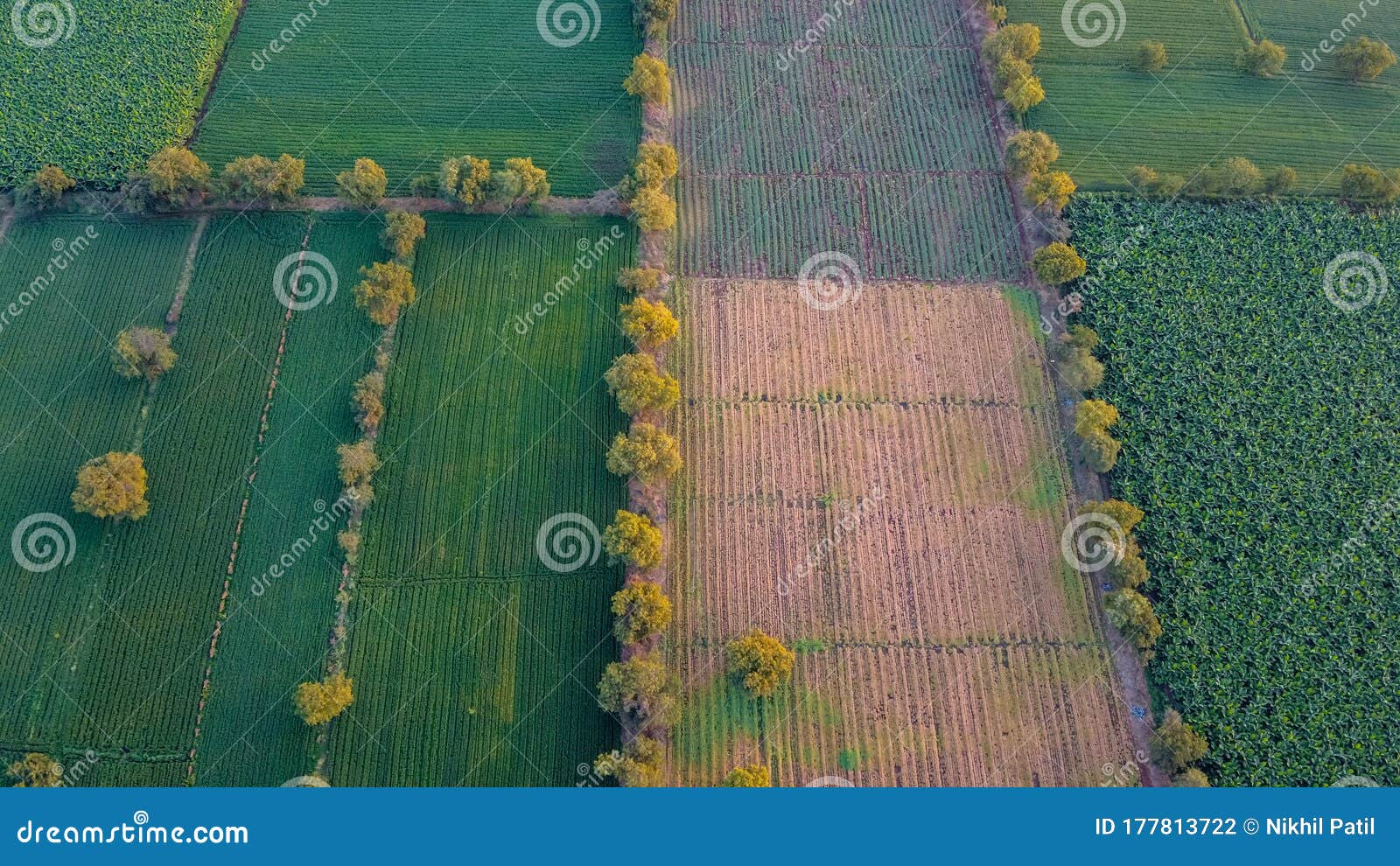 Aerial Top View of Agriculture Field Stock Photo - Image of background ...