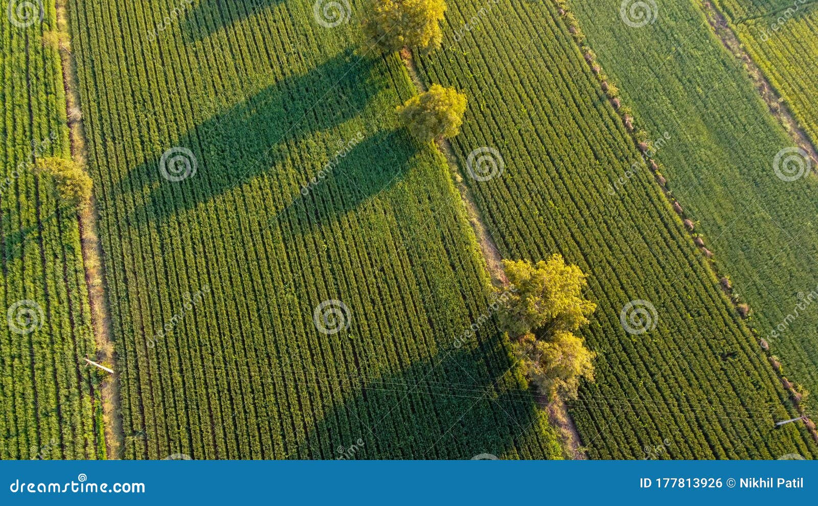 Aerial Top View of Agriculture Field Stock Photo - Image of farmer ...